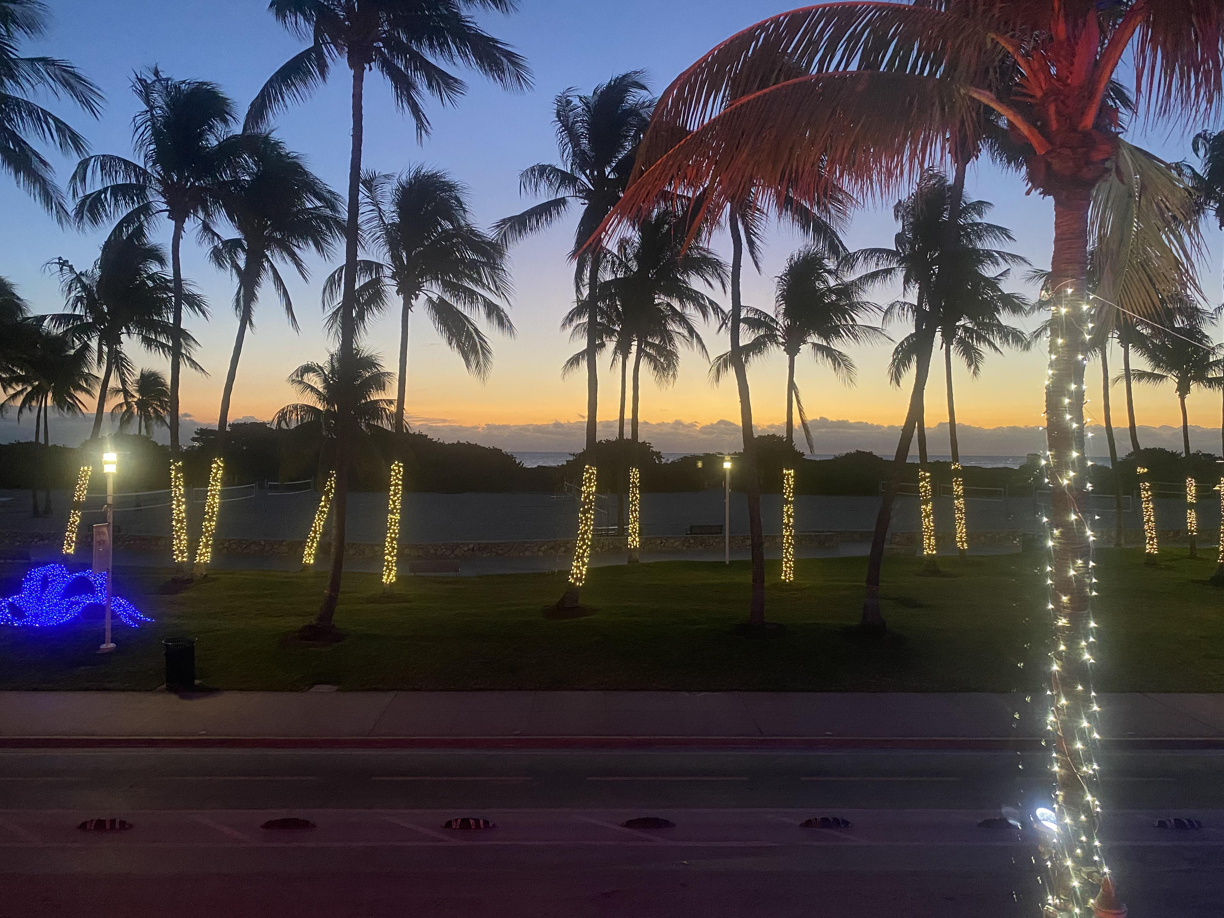 Any other members in Miami over Christmas and New year 2025? - Miami ...